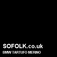 BMW TARTUFO MERINO : LEATHER PAINT | Sofolk