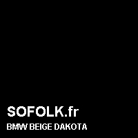 BMW BEIGE DAKOTA : PEINTURE CUIR | Sofolk
