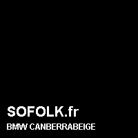 BMW CANBERRABEIGE : PEINTURE CUIR | Sofolk